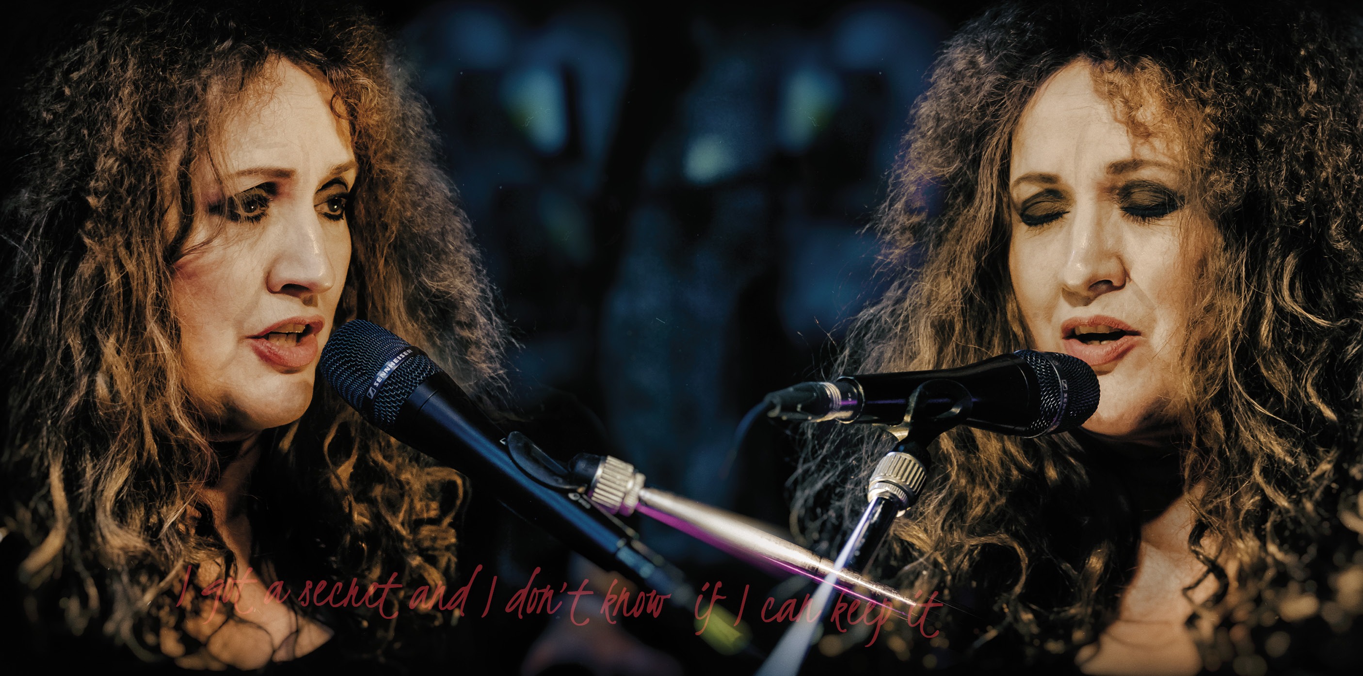 Anne Haigis – | "15 Companions" – Das aktuelle Album.